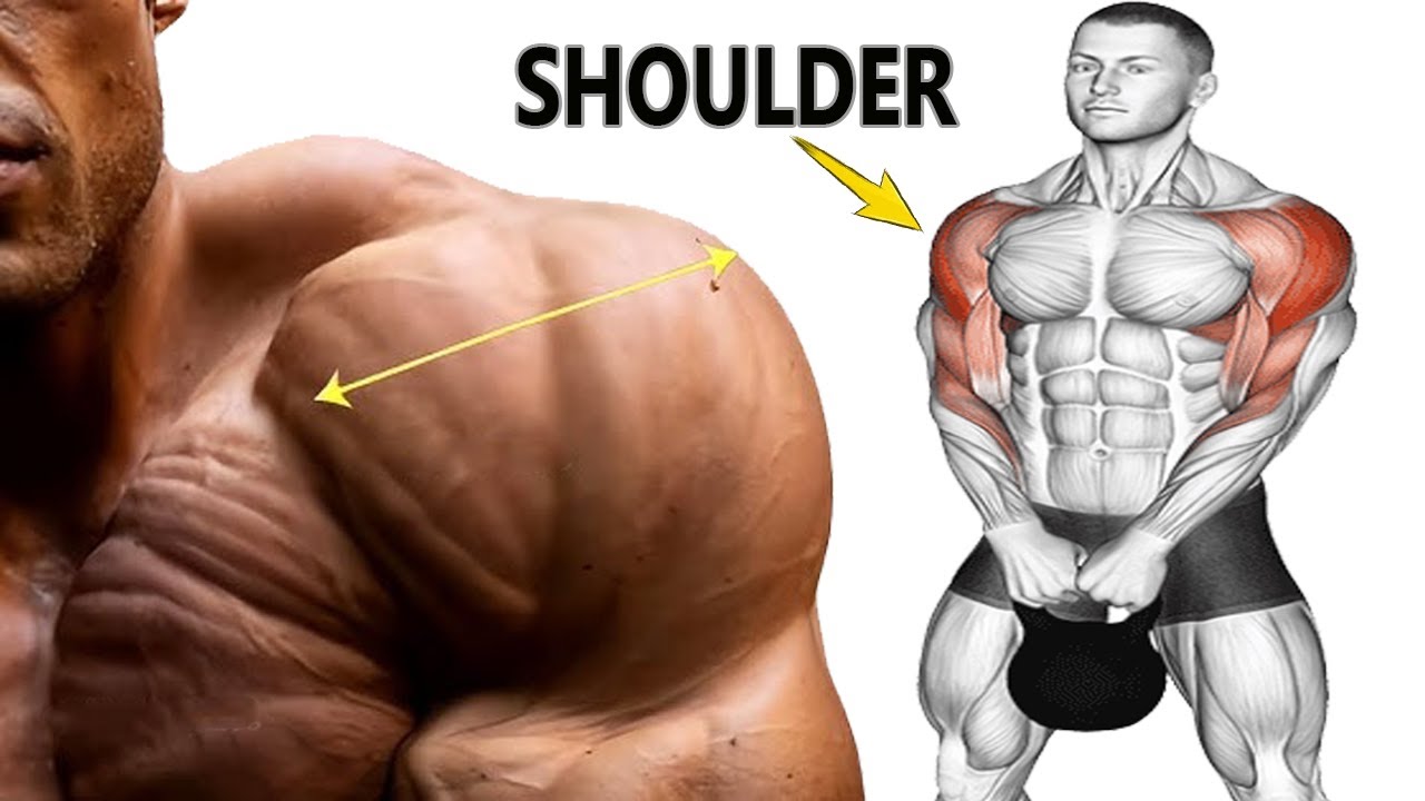 Shoulder Workout : A Comprehensive Guide to Building Powerful Deltoids ...