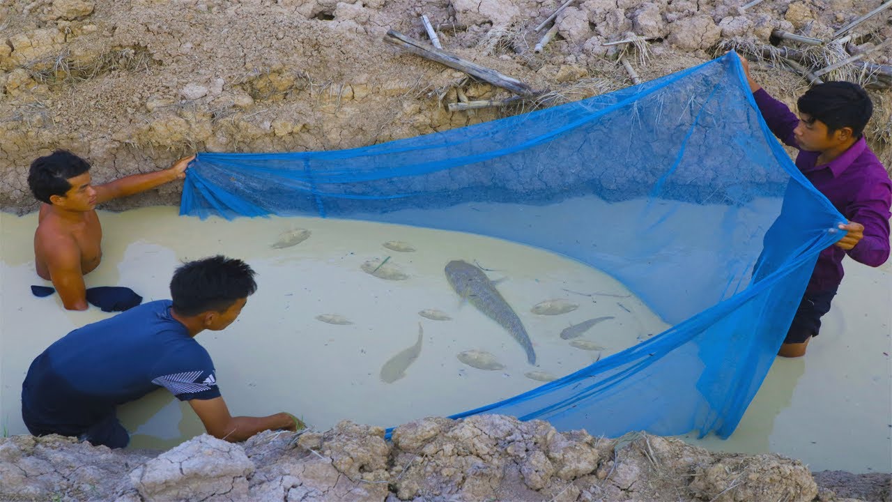 The Best Fishing With Mosquito Net By Fishing In Canal - How To Fishing ...