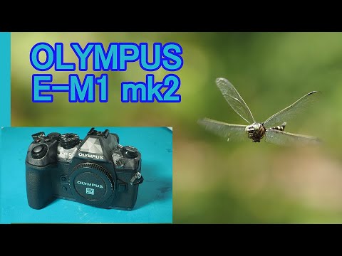 #OLYMPUS E-M1 mark2 プロキャプチャーモード ProCapture Mode (2) - YouTube