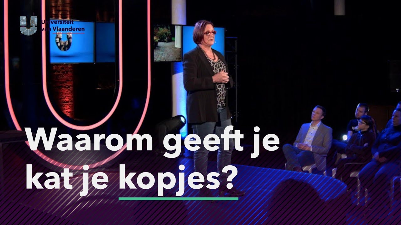 Waarom geeft je kat je kopjes? - YouTube