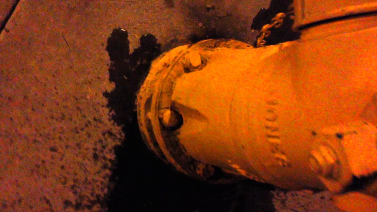 Pink lAdy lUcky Sun - YouTube