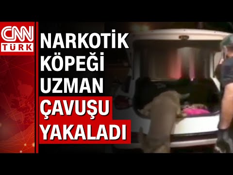 Narkotik köpeği şüphelenince ekipler arama yaptı... Araçtan 3,5 kg uyuşturucu çıktı