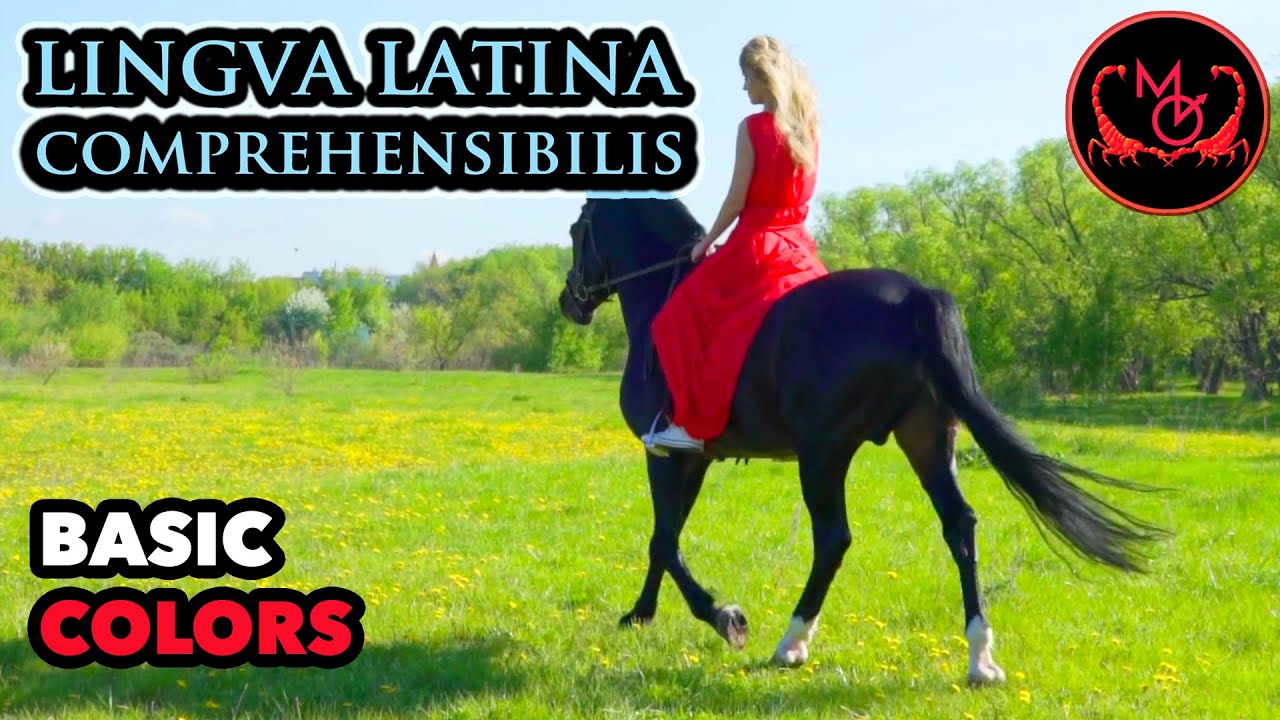 Colors in Latin · Lingua Latina Comprehensibilis · Basic Colors - YouTube