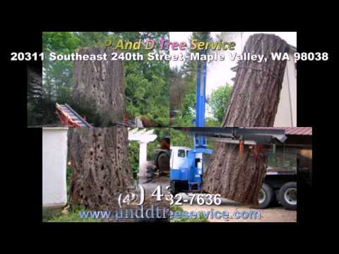 Tree-Trimming - YouTube