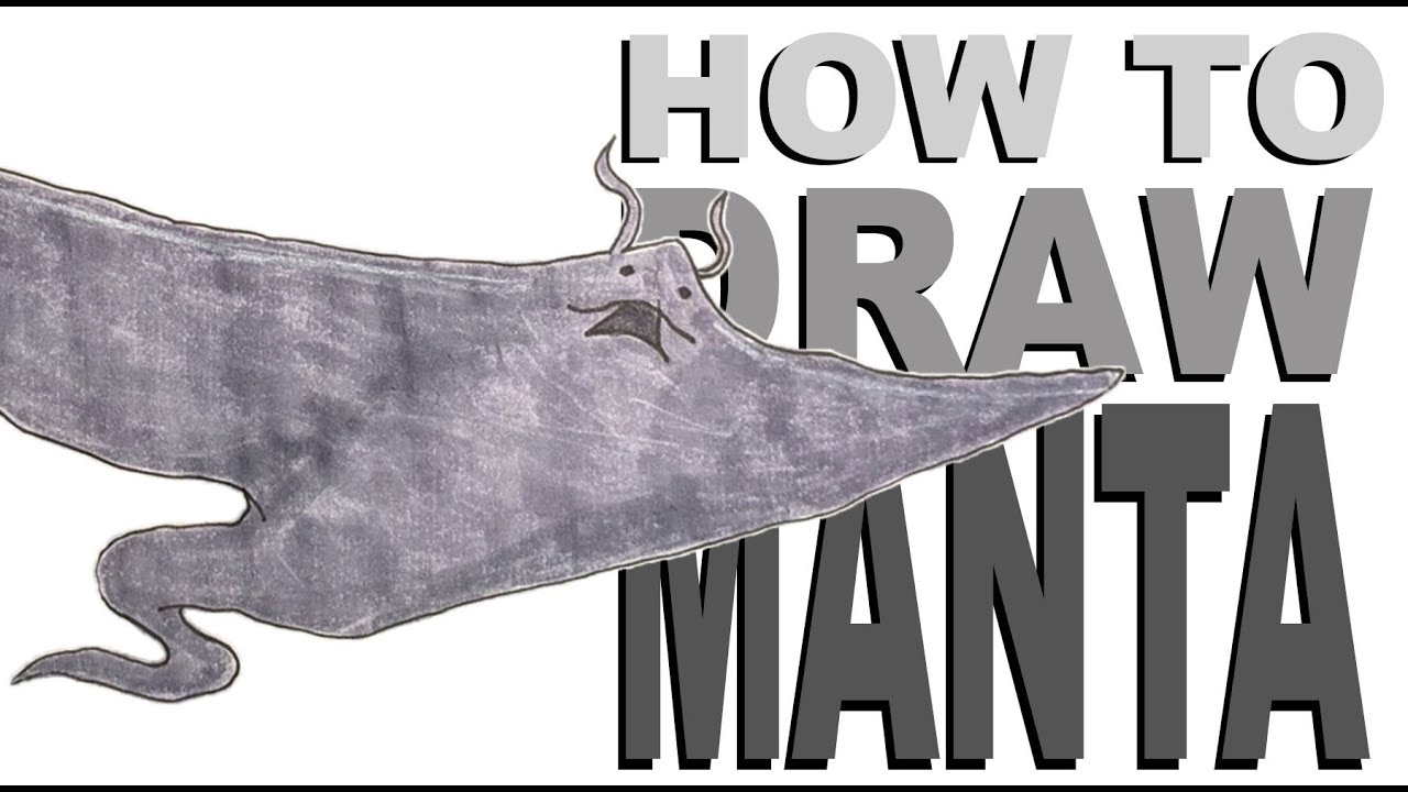 How to draw Manta (RANDOMstuff Animation) - YouTube