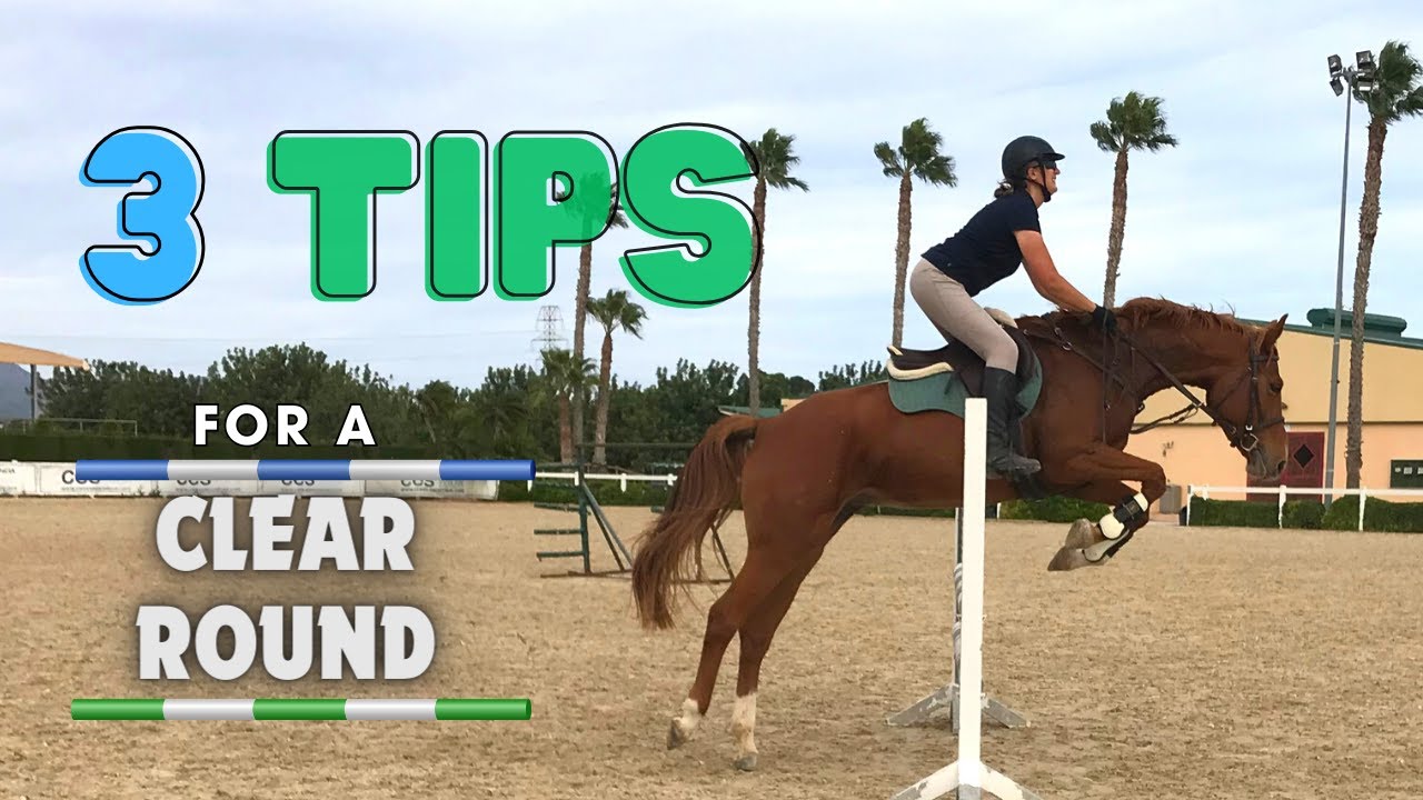 3 Show Jumping Competition Tips For Amateur Hunter Jumpers - YouTube