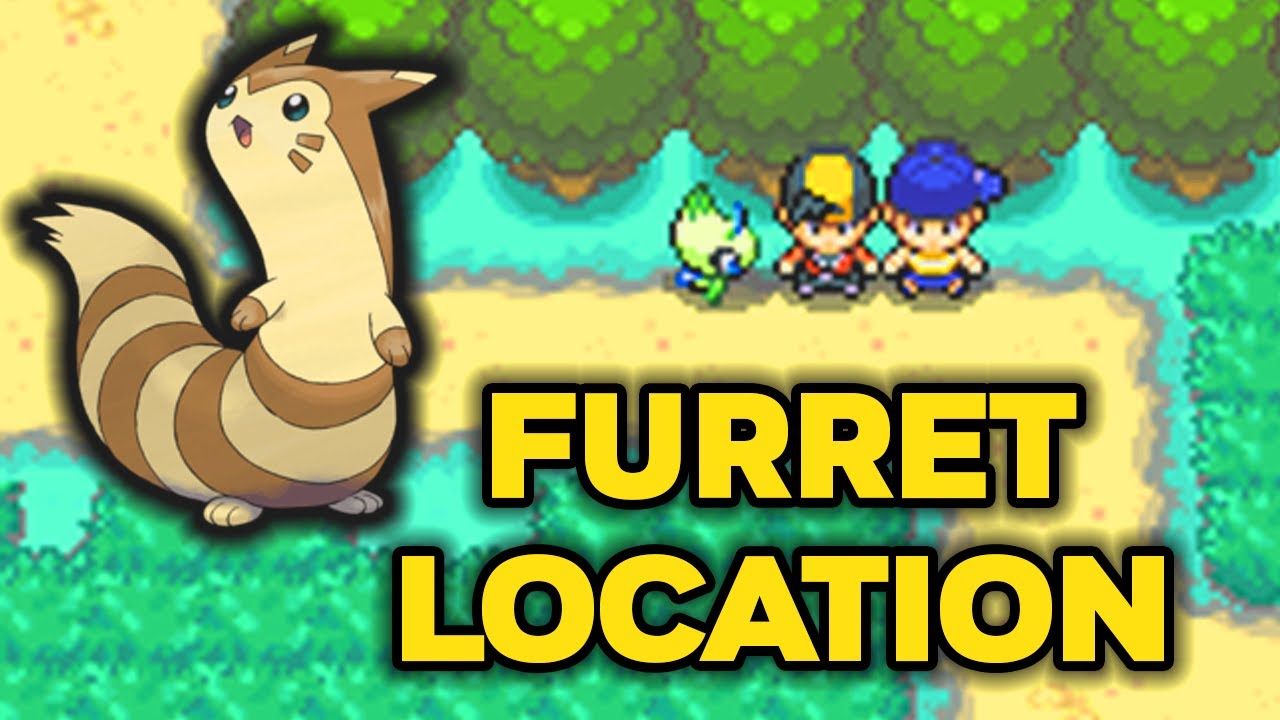 How to Catch Furret in Pokemon HeartGold or SoulSilver! - YouTube