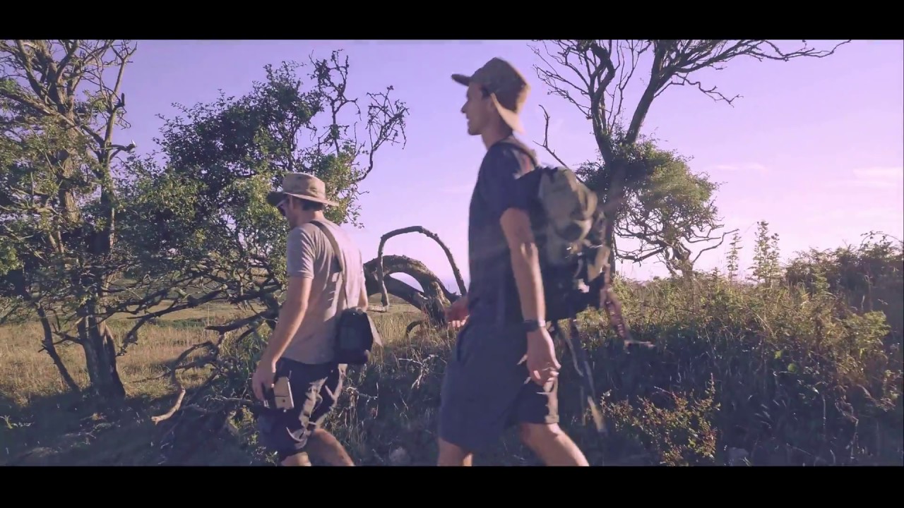 Ninebarrow - Hwome (Official Music Video) - YouTube