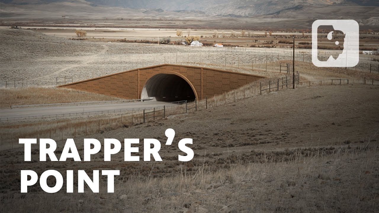 How an 8,000‑Year‑Old Antelope Site in Wyoming Became a Wildlife ...