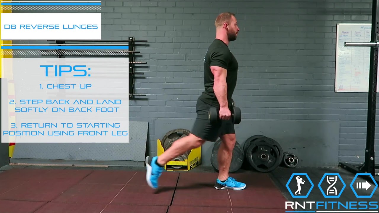 How To Maximise Your DB Reverse Lunges - YouTube