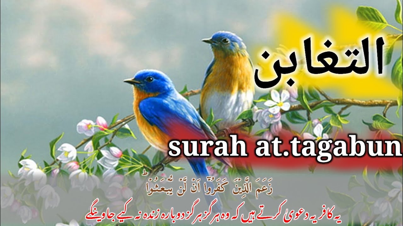 64 Surah At Taghabun Full Sheikh Mishary Rashid Al Afasy With Arabic