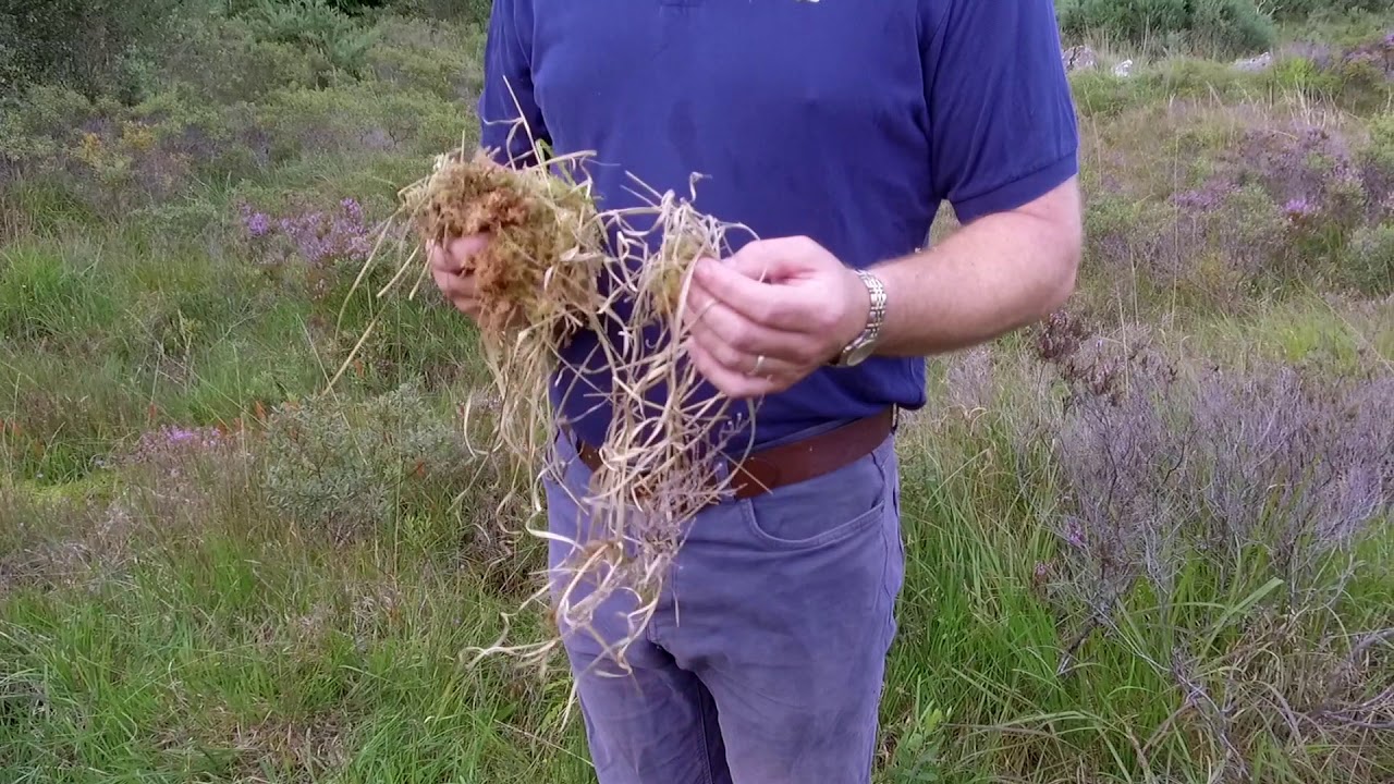Gerard Walshe Farming For Nature Ambassador 2019 - YouTube