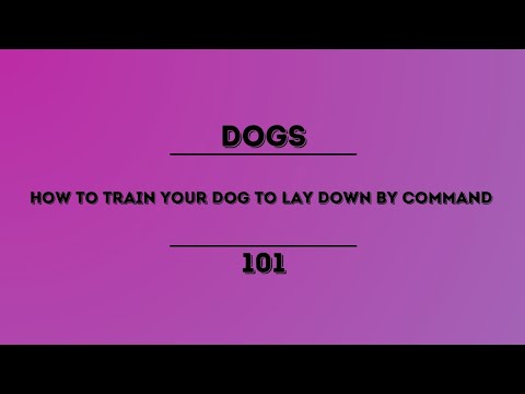 How To Train Your Dog To Lay Down By Command | Dogs 101 - YouTube