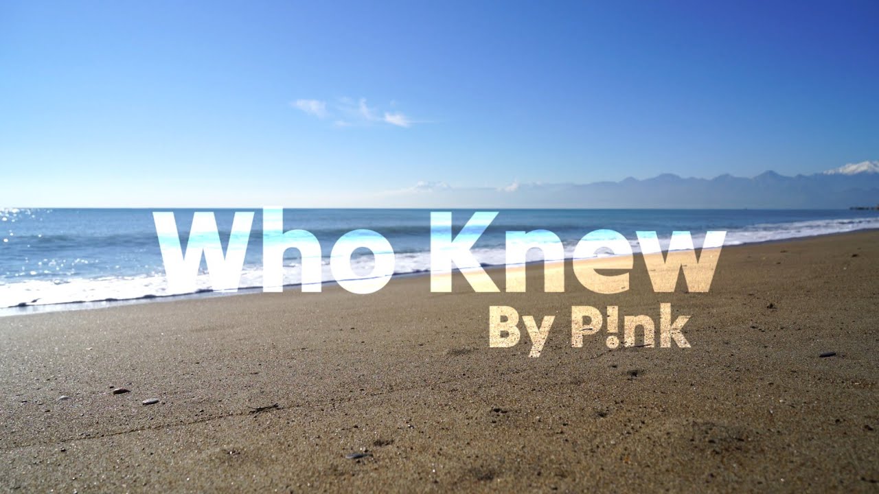 P!nk - Who Knew (Unofficial Lyric Video) (Read Desc) - YouTube
