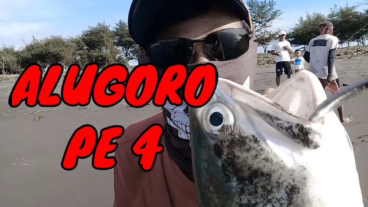 ALUGORO bakal jadi senjata pamungkas - YouTube