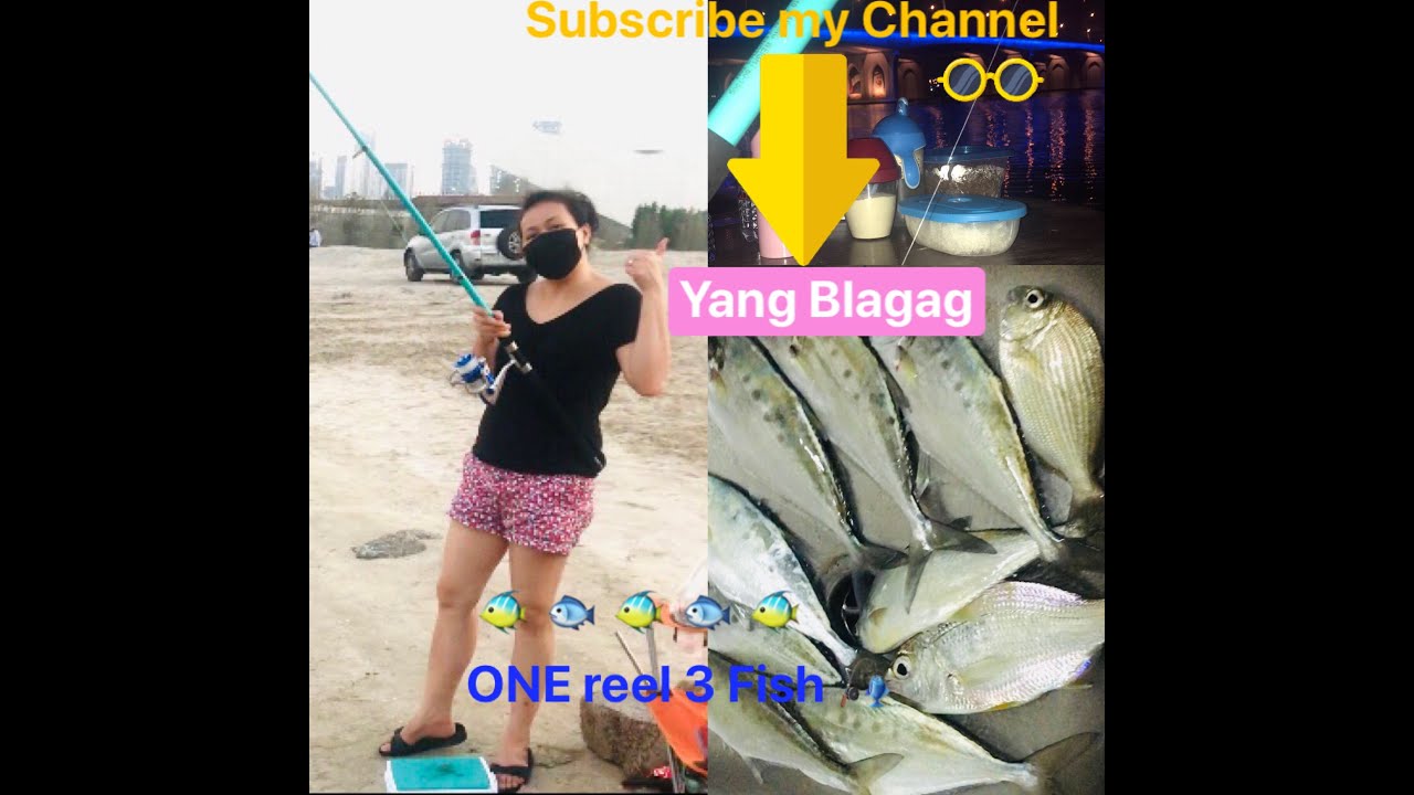 ONE BIG FiSH become small fish // Fishing blagag #3 - YouTube