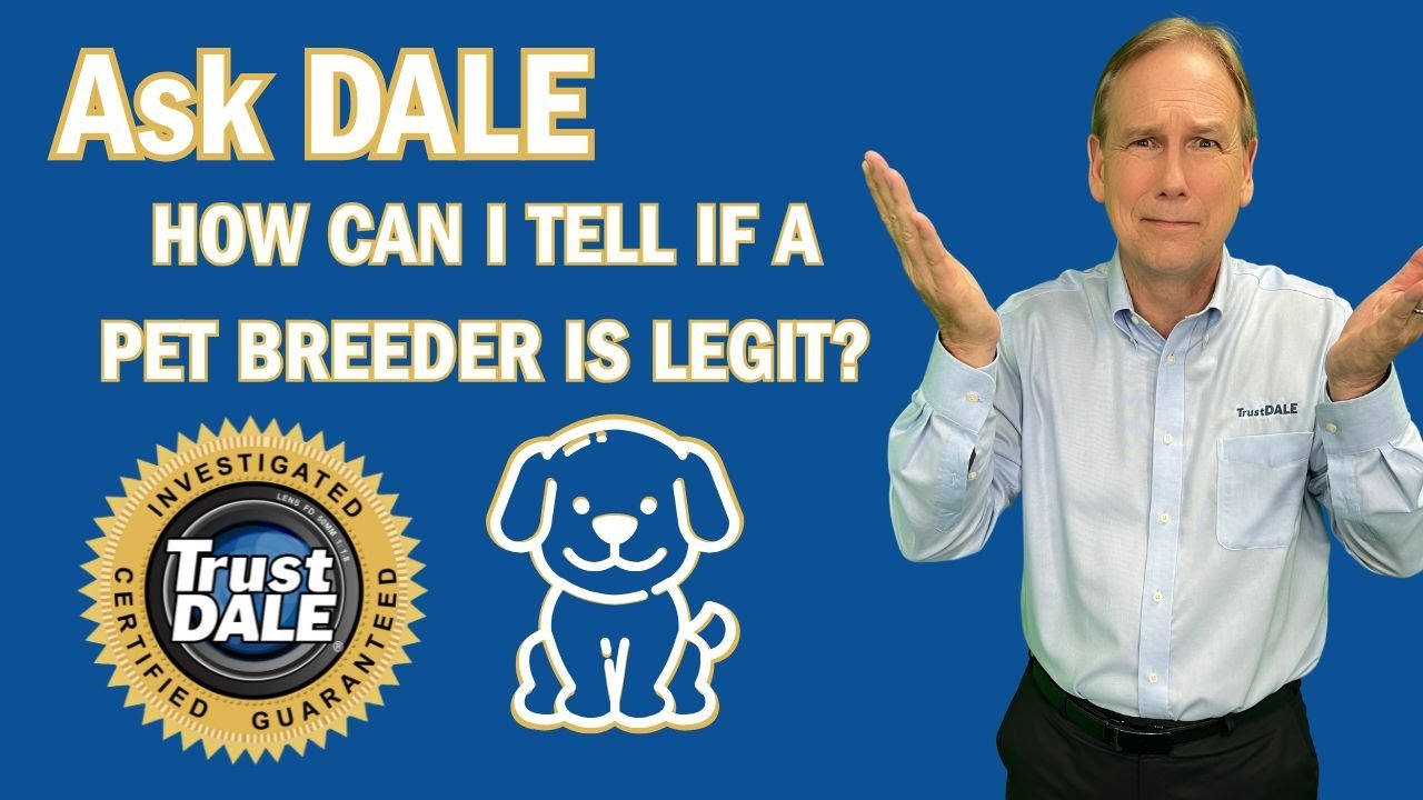 Ask Dale: How can I tell if a pet breeder is legit? - YouTube