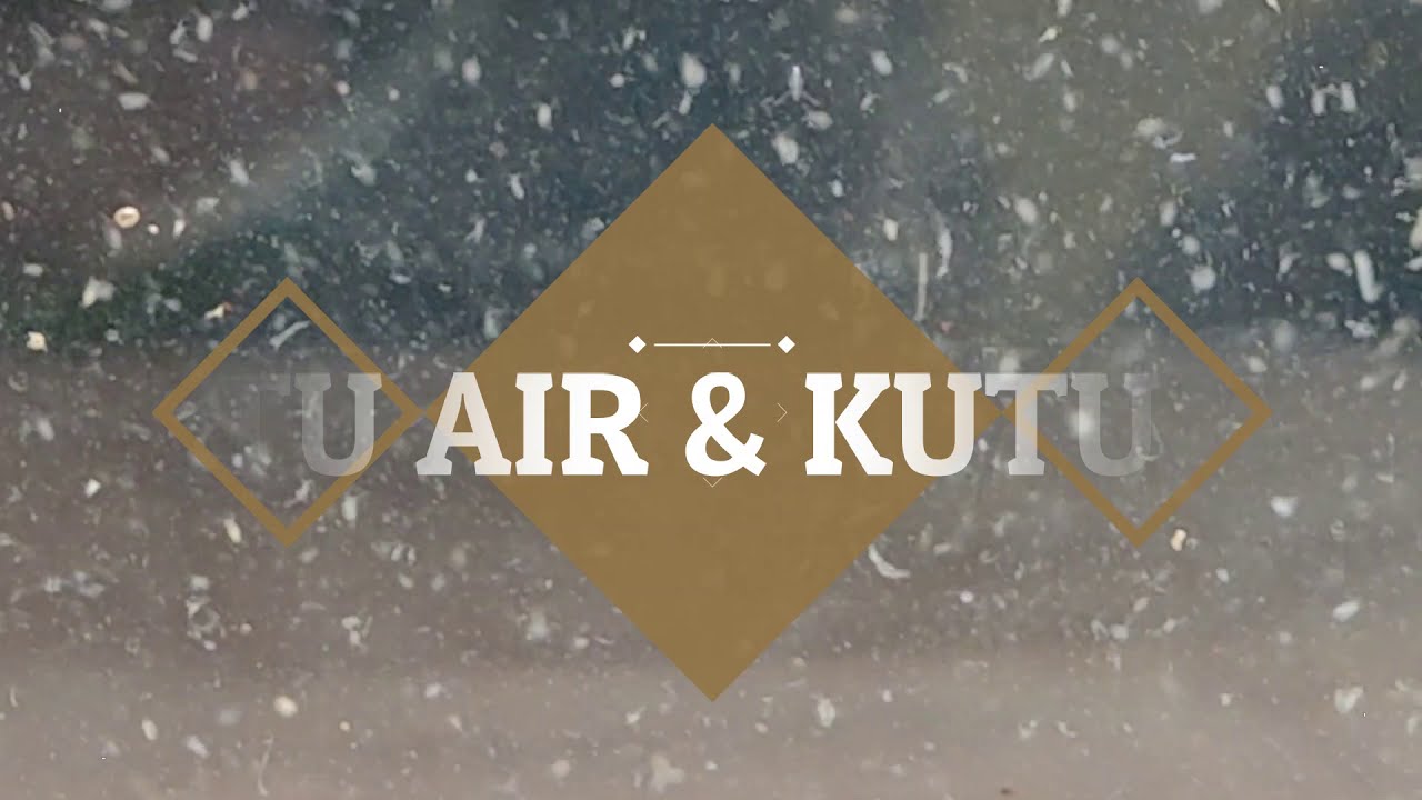 Perbedaan Kutu Air dan Kutu Jet - YouTube