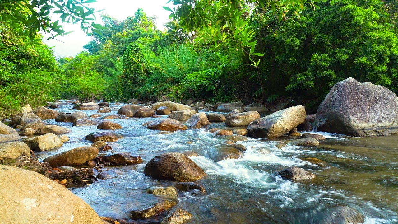 The Healing Waters: Stream Sounds to Reduce Anxiety and Promote Well ...
