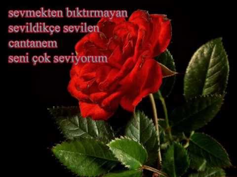 can tanem
