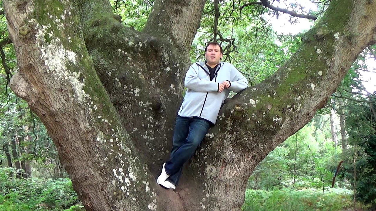 MARC JAMES -JUST A MEMORY - OFFICIAL VIDEO - YouTube