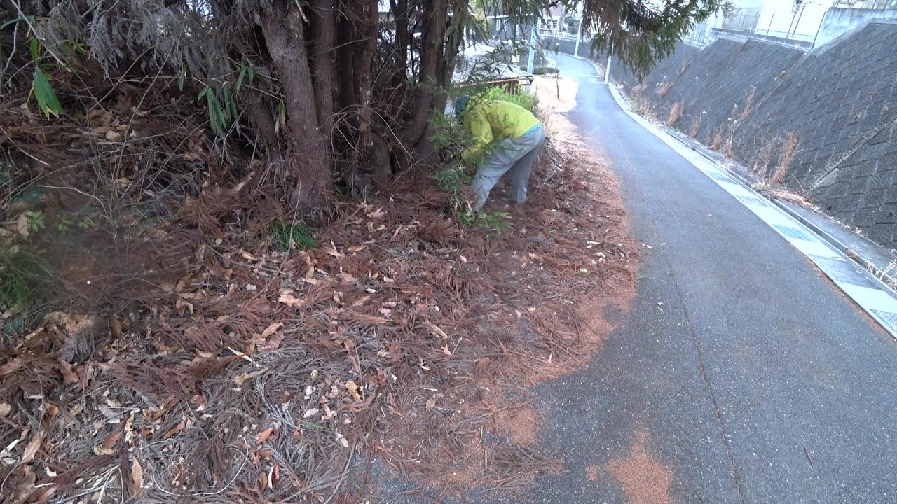 Nature Wonderland; cutting shrubs by the roadside and digging out more ...
