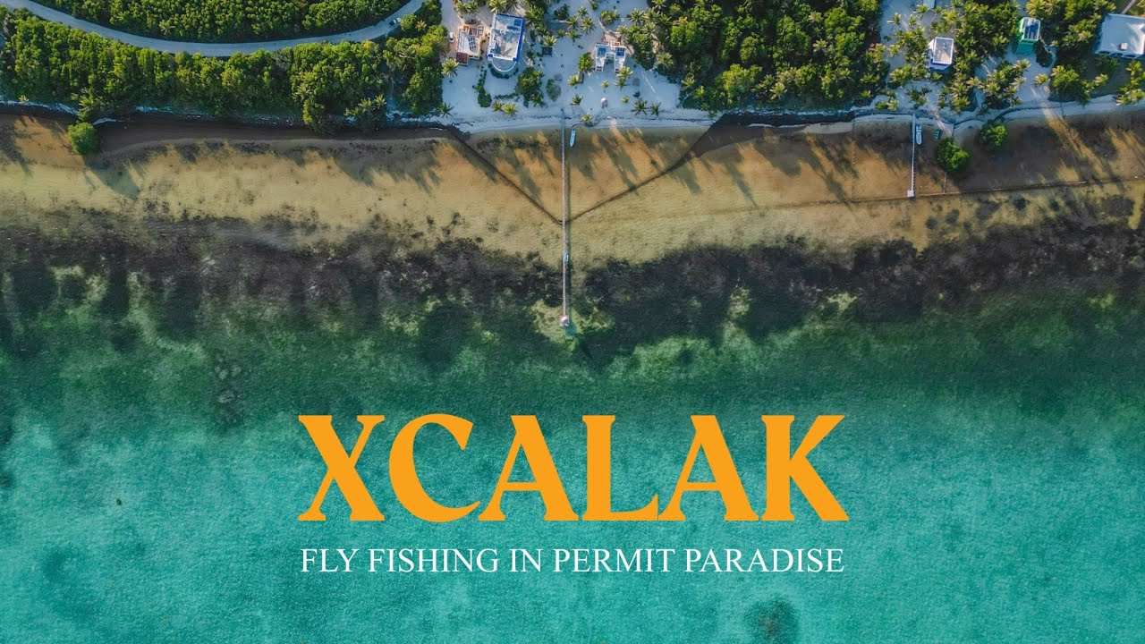 Permit on Dry Flies - XCALAK on the Fly - Mexico 2024 - YouTube