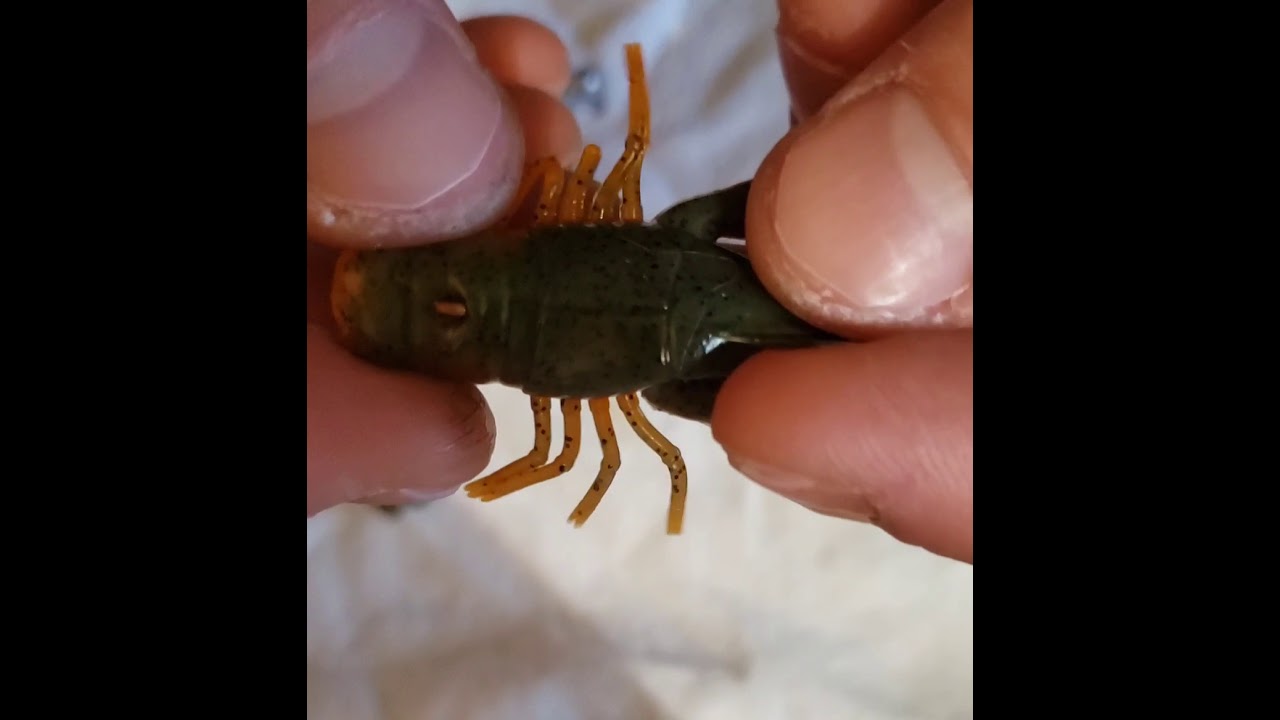 How to Jig-Rig a Crawbug - YouTube