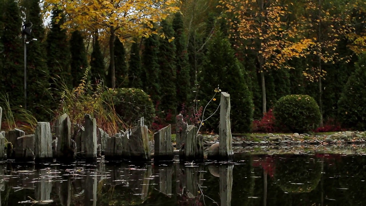beautiful autumn landscape country pond - YouTube