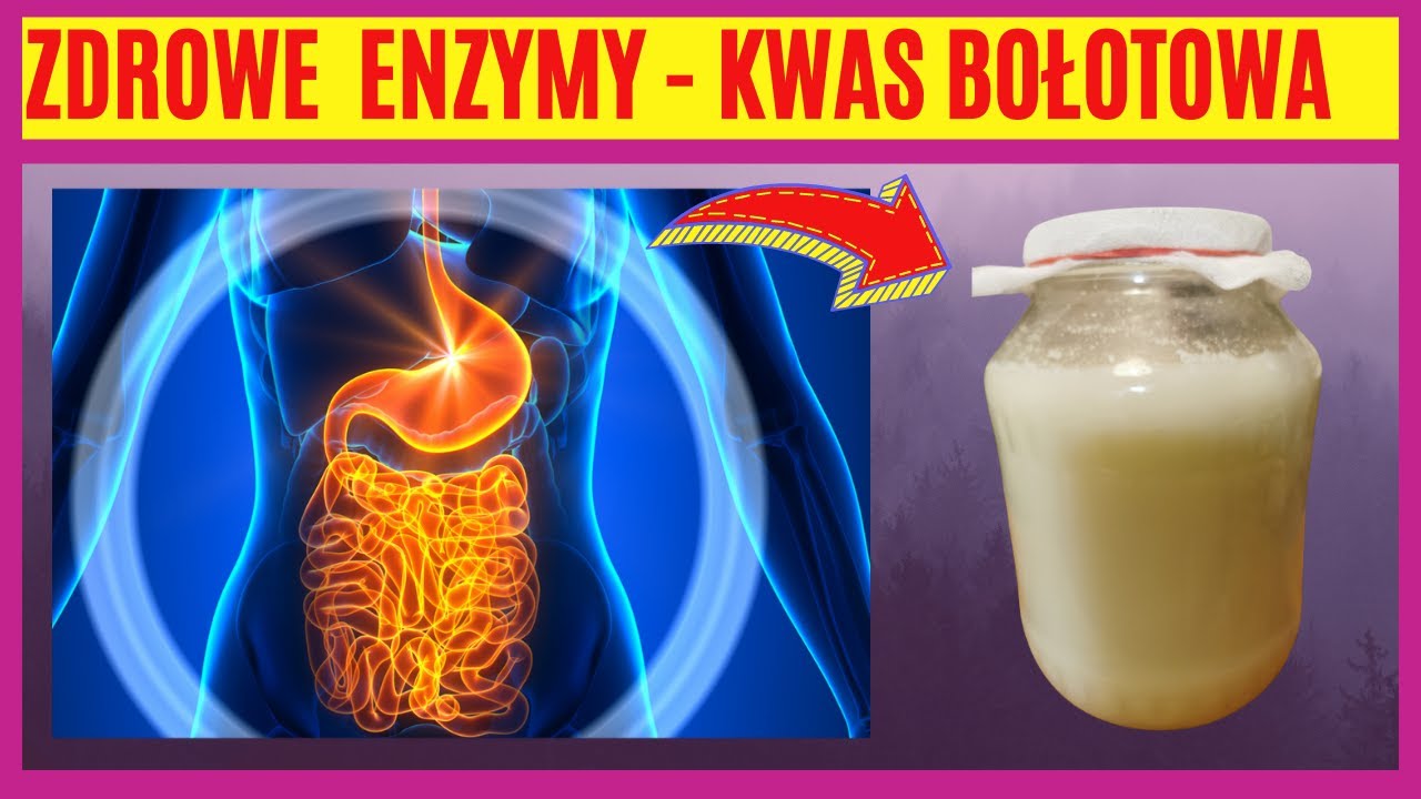 KWAS BOŁOTOWA na serwatce koziej i glistniku / Zdrowe enzymy/ Odbudowa ...