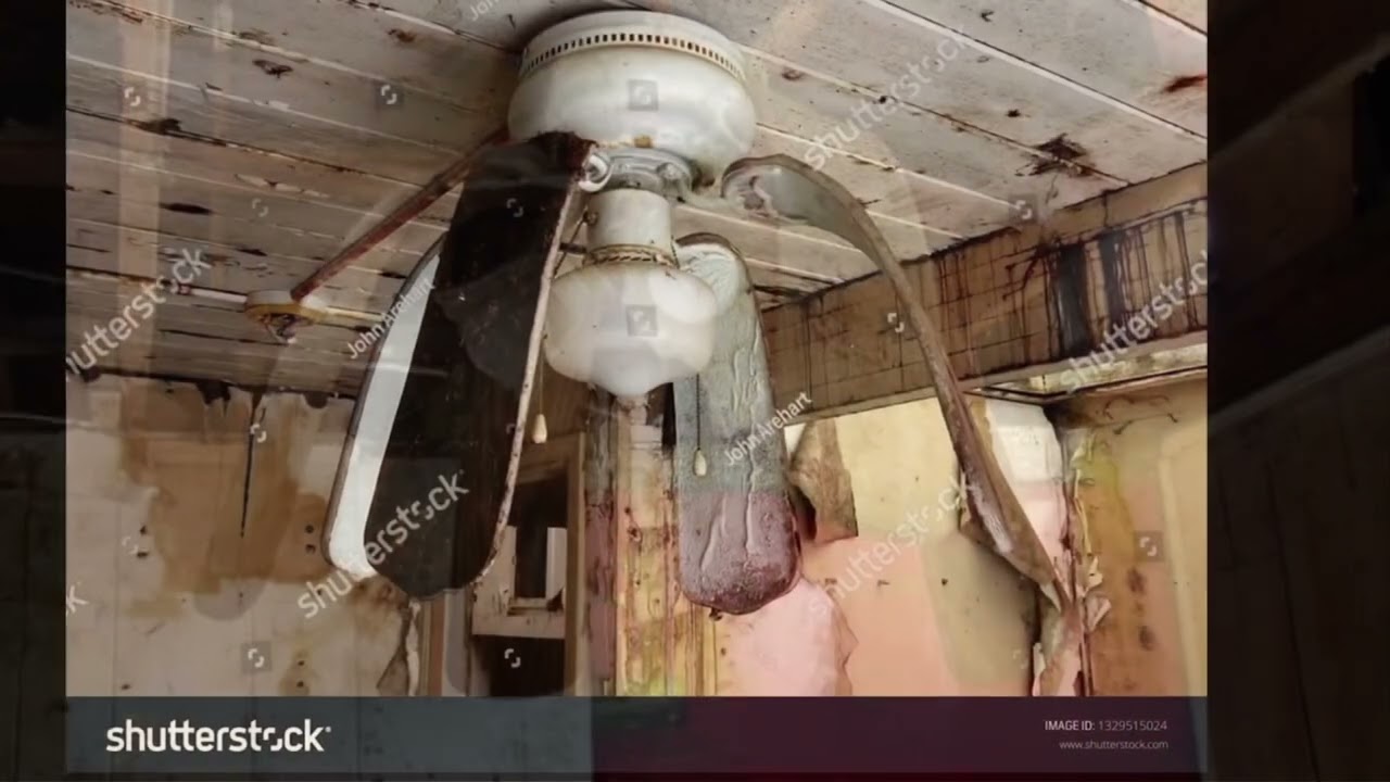 Abused ceiling fans #2 - YouTube