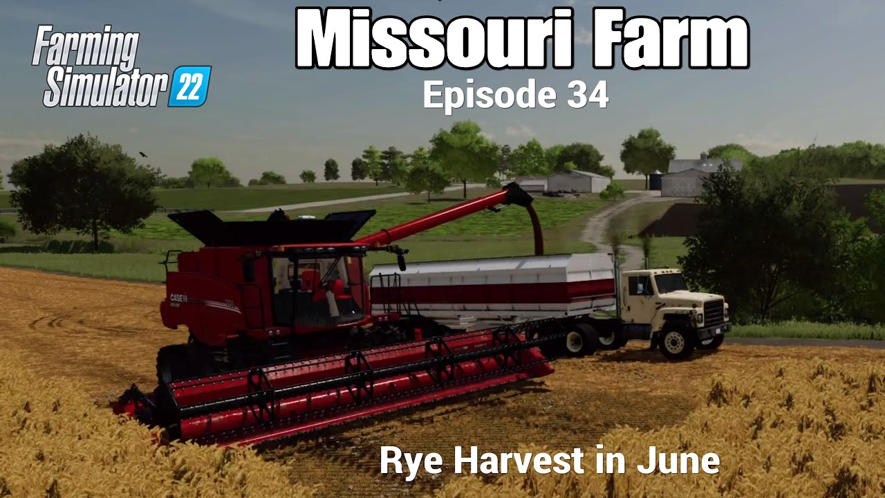 Missouri Farm / Episode 34 Rye Harvest in June / Farming Simulator 22 ...
