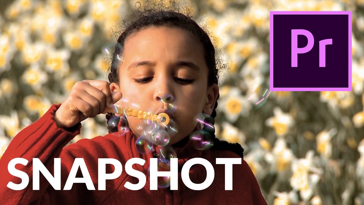 SNAPSHOT Photo Freeze Frame Effect in your Video | Premiere Pro ...
