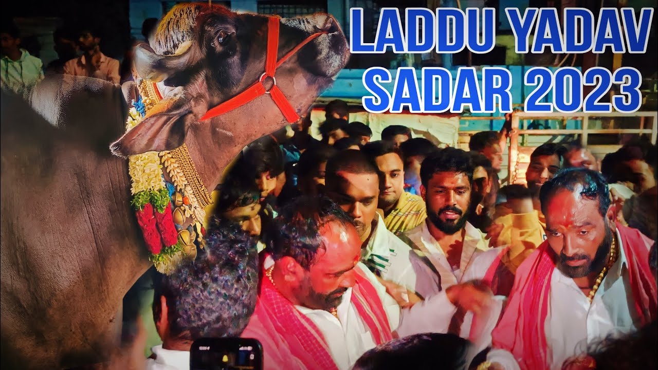 SADAR : LADDU YADAV SADAR CELEBRATION 2023 || LADDU YADAV SADAR ...