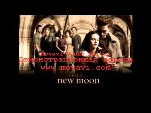 Cevo Feat Domi (Privet milaya)