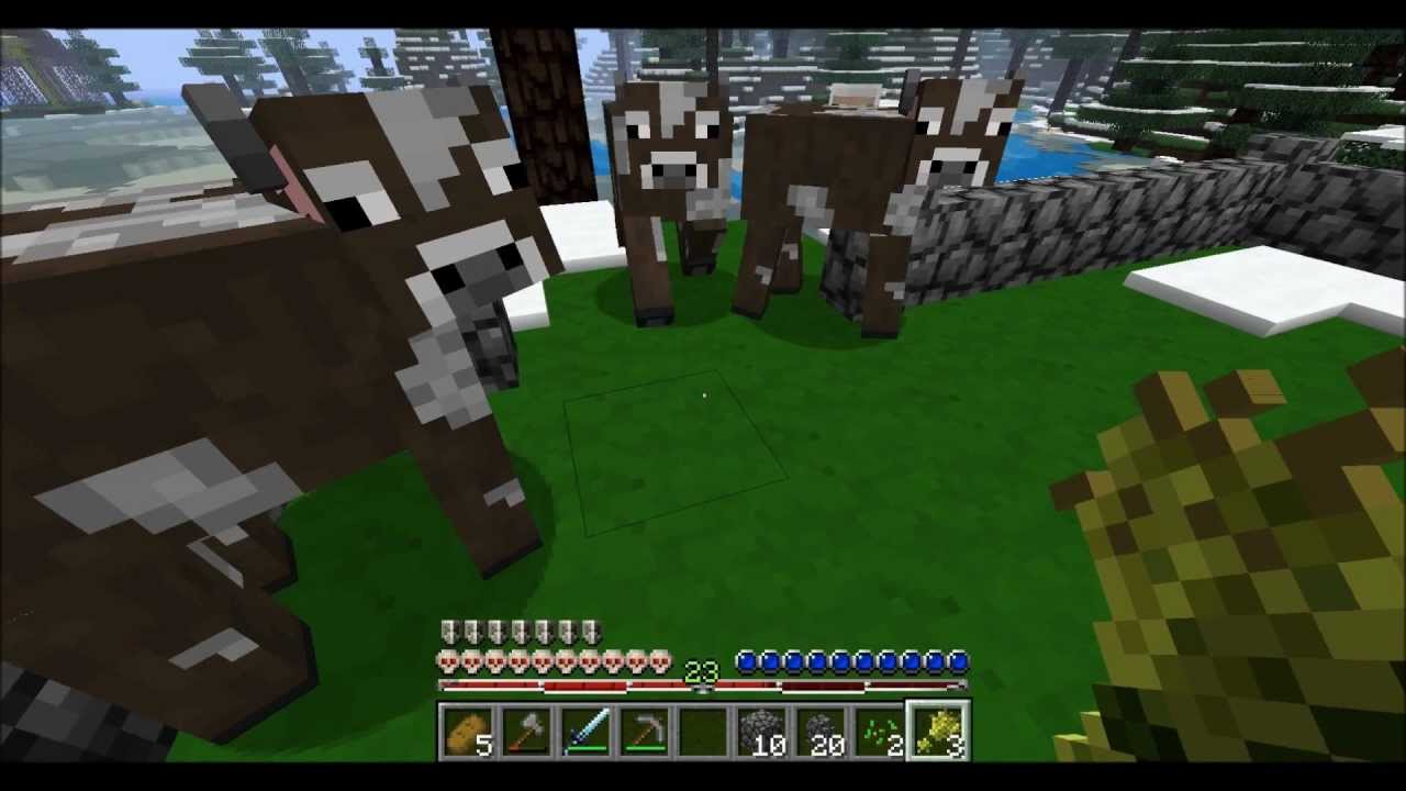 Schizo Craft EP 9 - YouTube