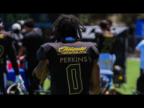 QB David Perkins 2024 LFA Highlights #0 - YouTube