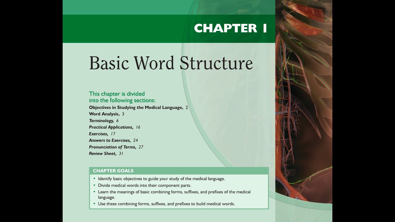 AVCN Free - Buổi 1 - BASIC WORD STRUCTURE - YouTube