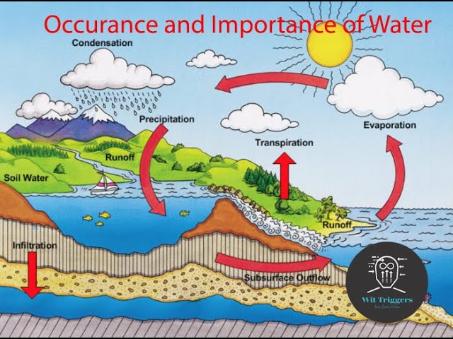 Occurrence Of Water