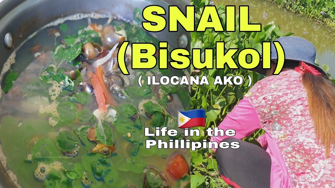 SNAIL (BISUKOL IN ILOCANO) for Lunch/Life in the PHILIPPINES/mrs ...