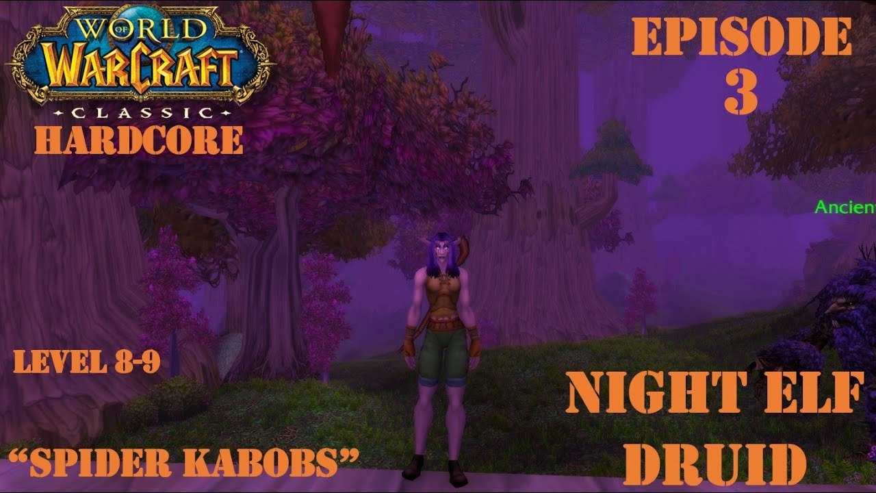Let's Play World of Warcraft: Classic Hardcore | "Spider Kabobs ...