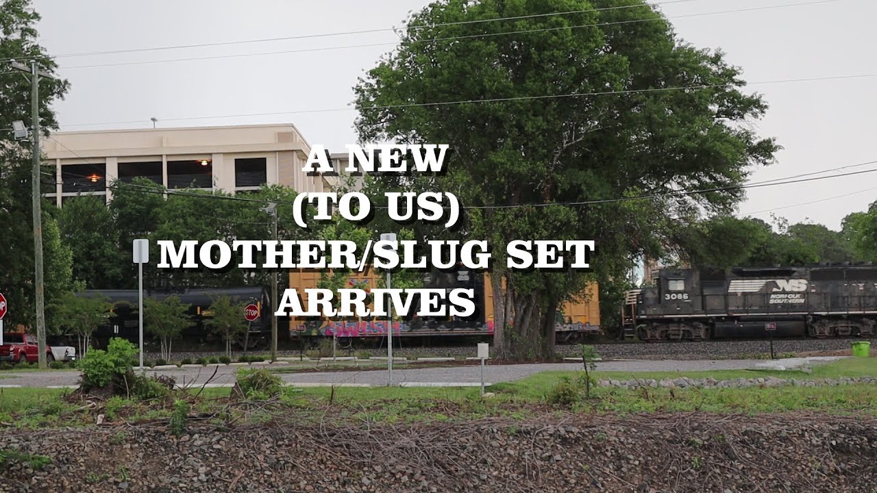 S04E088 A New (To Us) Mother/Slug Set Arrives - YouTube