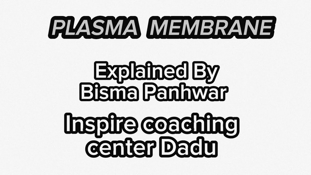 Plasma membrane Explained by Bisma Panhwar |inspire coaching center Dadu - YouTube