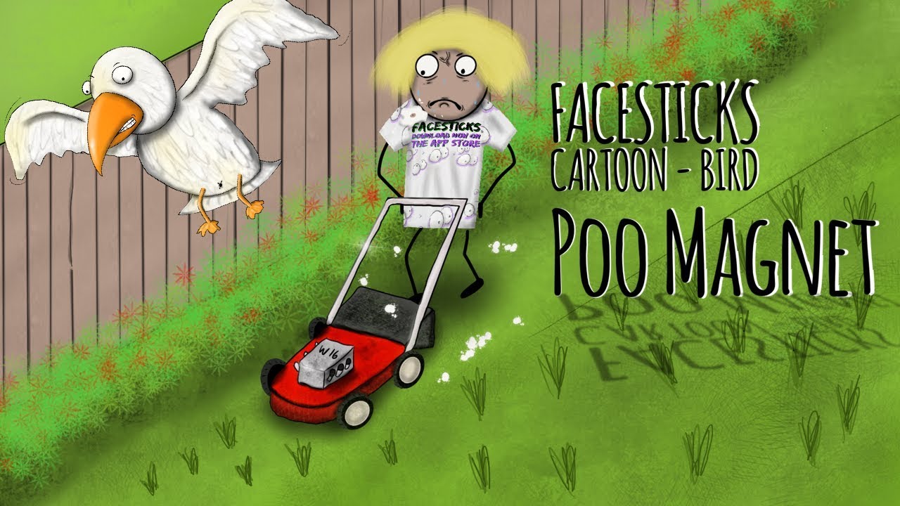 Facesticks Cartoon - Bird Poo Magnet - YouTube