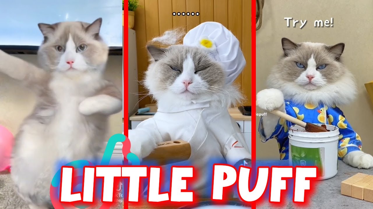 That Little Puff | COMEDY VIDEOS | April 2024 - YouTube