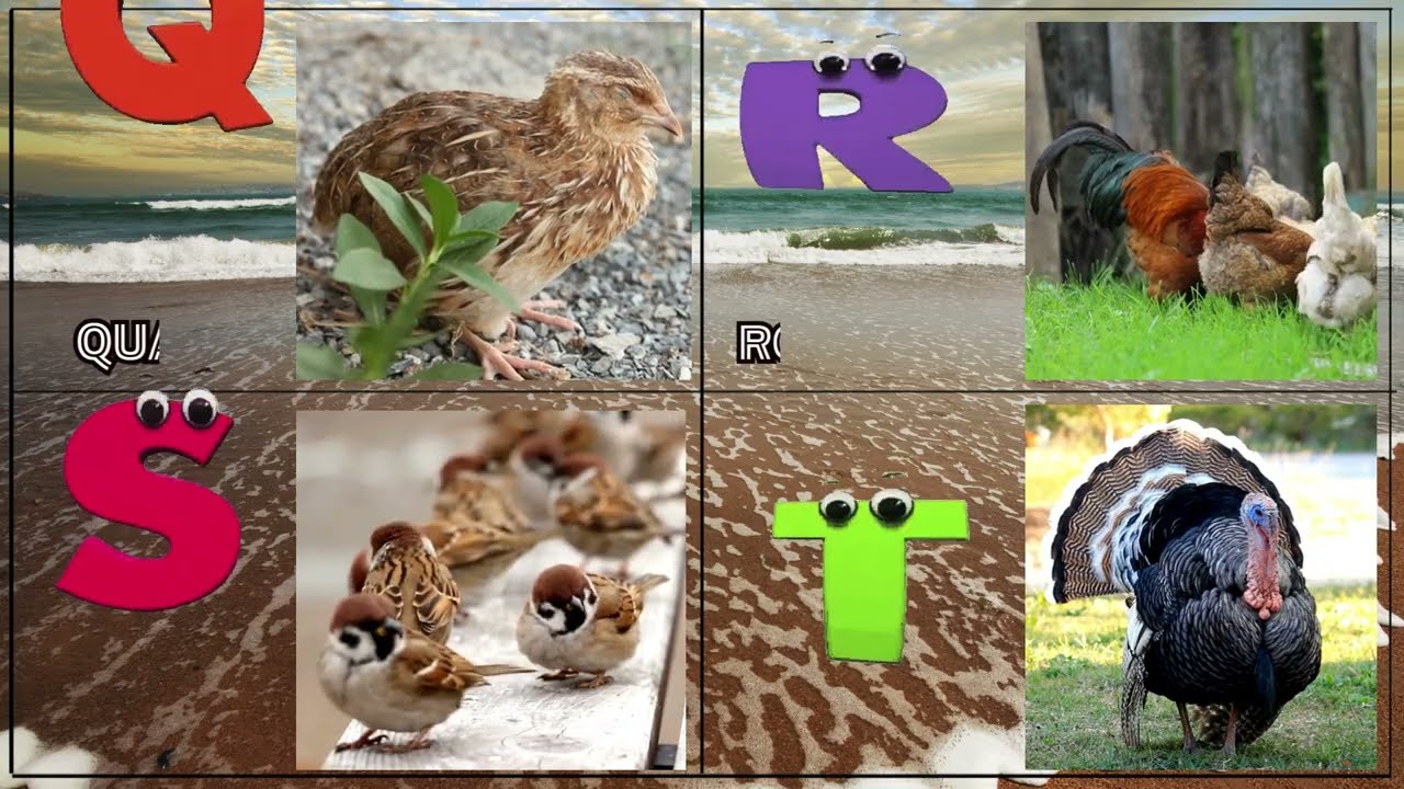 Birds Alphabet Song for Kids | Birds ABC Song | Phonics for Kids | Baby ...