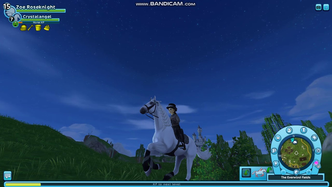 Training Time #1| Star Stable Online - YouTube