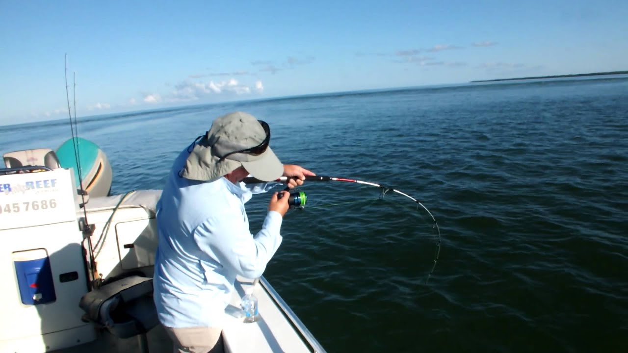 Black Jew Fish :: Mouth of the Sth Alligator River - YouTube