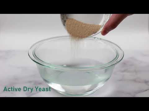 Yeast blooming with Time lapse #shorts - YouTube