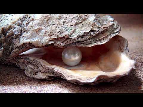İnci - Ahmet Adnan SAYGUN arr. Yakup Kıvrak